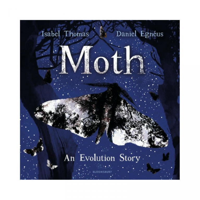10 Best: New books